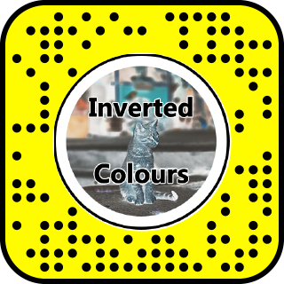 Inverted Colours | Lenslist