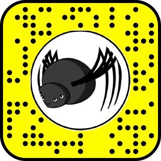 Spider Face | Lenslist