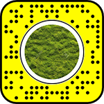 moss face | Lenslist