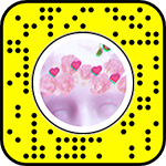 flower aesthetic | Lenslist