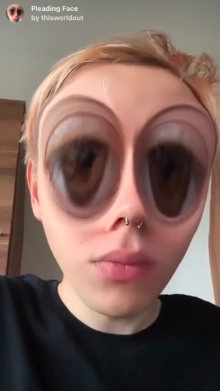 Pleading Face | Lenslist