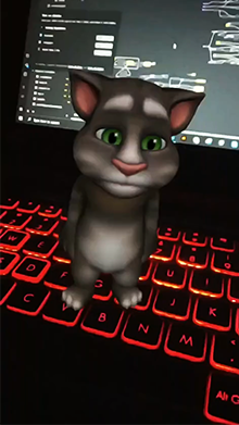 Talking Tom | Lenslist