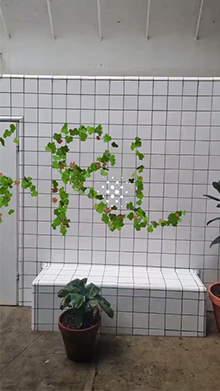 Green graffiti | Lenslist