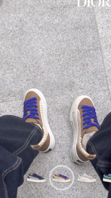 Dior B33 Sneakers | Lenslist