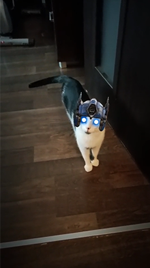 Transformers Pet Vision | Lenslist