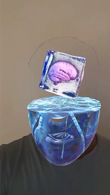 Frozen Brain | Lenslist