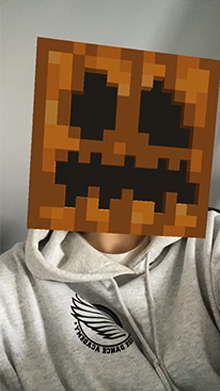 Minecraft heads | Lenslist
